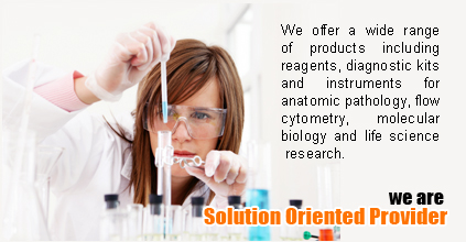 Home [login.totalweblite.com]